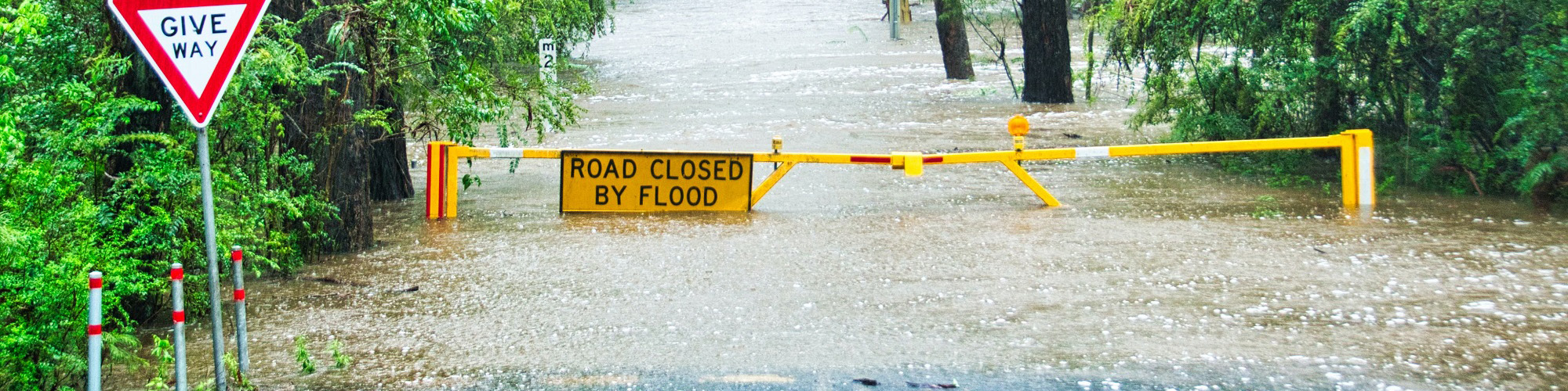 Flood recovery resources